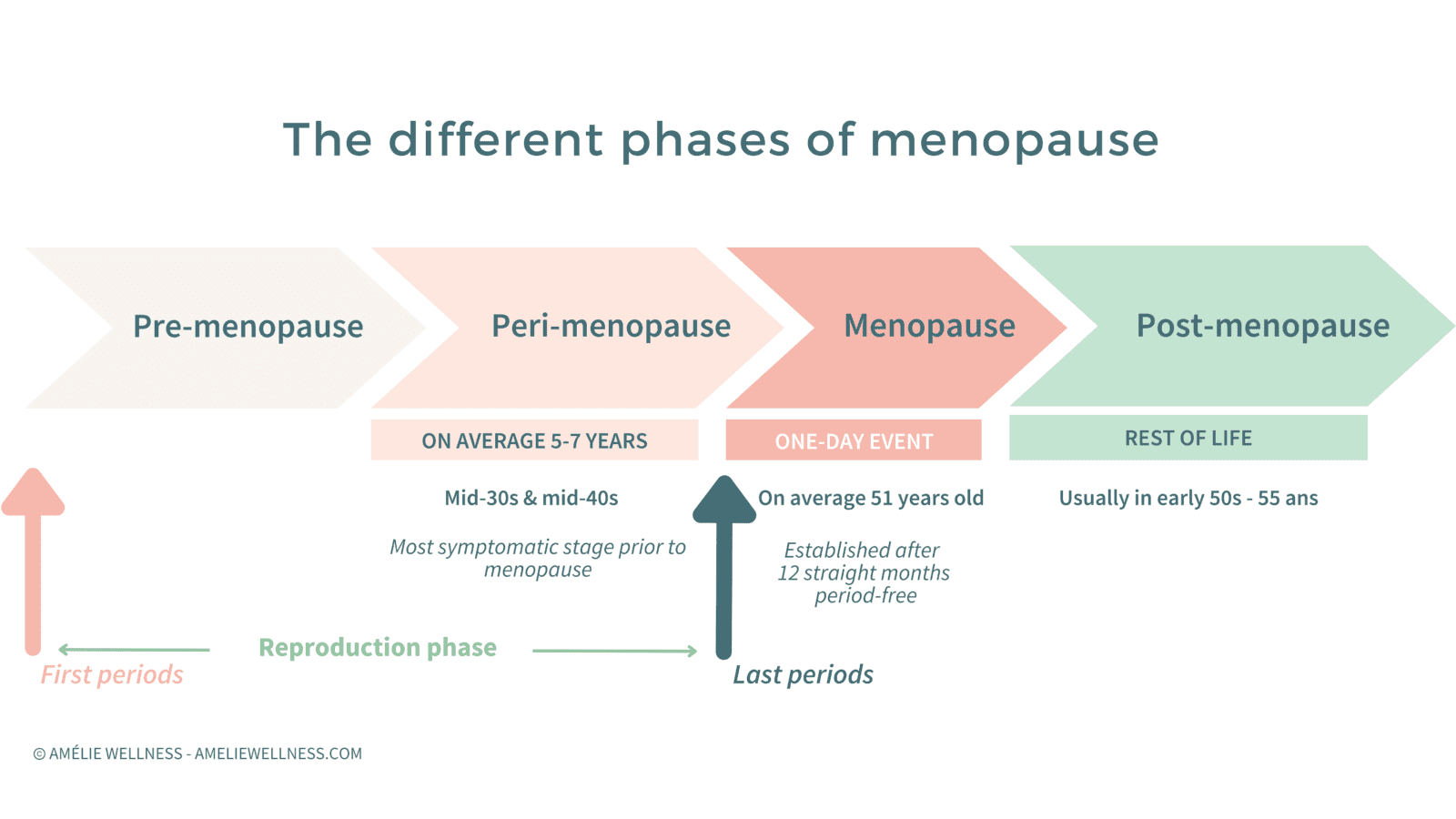 5 Fundamentals of Menopause - ameliewellness.com